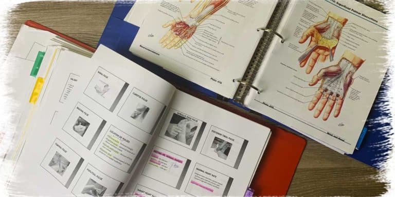 The 25 Best Study Tips for Physical Therapy School (You Need These ...
