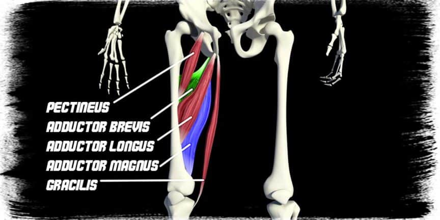 Recovering from a Groin Injury: Here's How to Come Back Stronger ...
