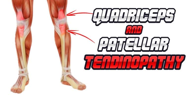 Knee Pain From Leg Extensions: Why it Happens & How to Fix it ...