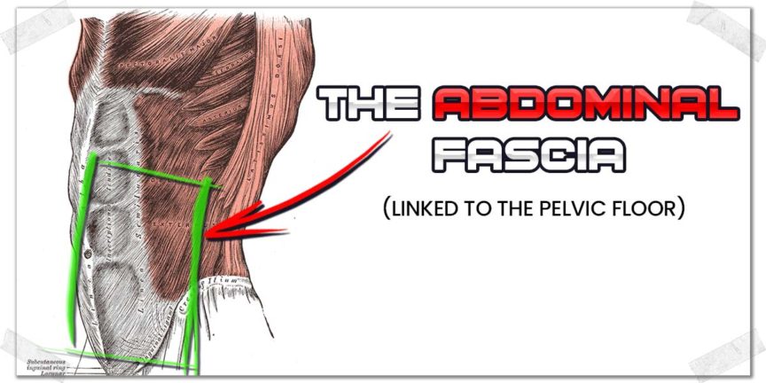 Tight pelvic floor after deadlifts? Causes | Solutions | Expert Tips ...