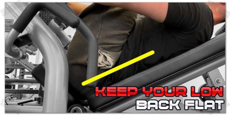 Leg Press Joint Pain | Knees | Hips | Back (Detailed Fix-it Guide ...