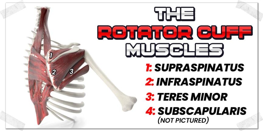 How To Bench Press With Shoulder Instability (Detailed Article ...