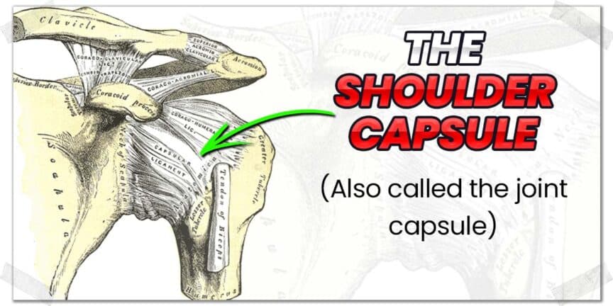 Why you Have Shoulder Pain with Pull-ups (Here's the Fix) - Strength ...
