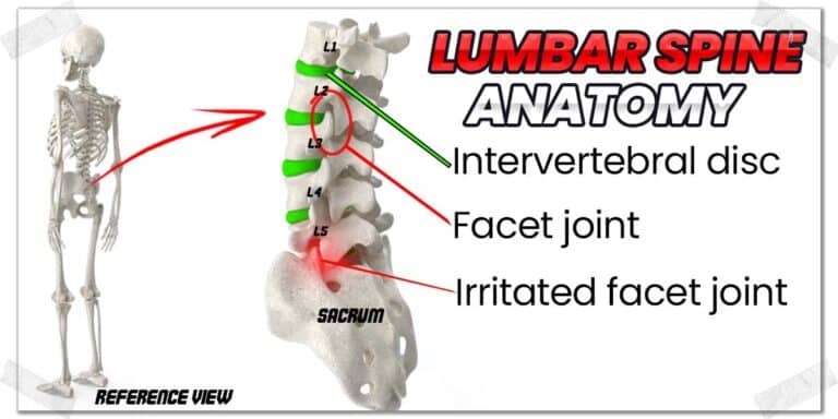 Back Pain With Bench Press: Causes & Fixes (Ultimate Guide) - Strength ...