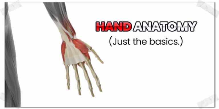 Thumb Pain With Bench Press | Causes | Solutions | (Science-backed ...
