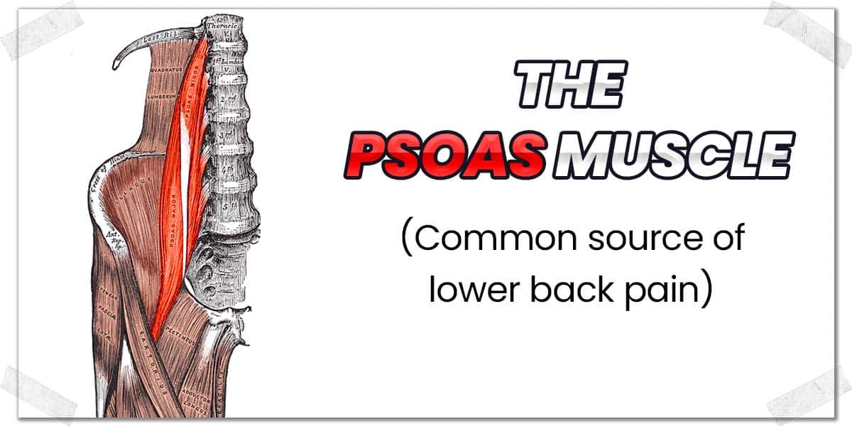 Why You Have Back Pain When Lunging | Detailed Solutions - Strength ...