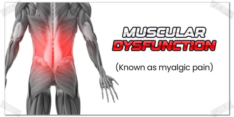 Lifter's Guide: Low Back Pain From Squatting | What To Know & Do ...