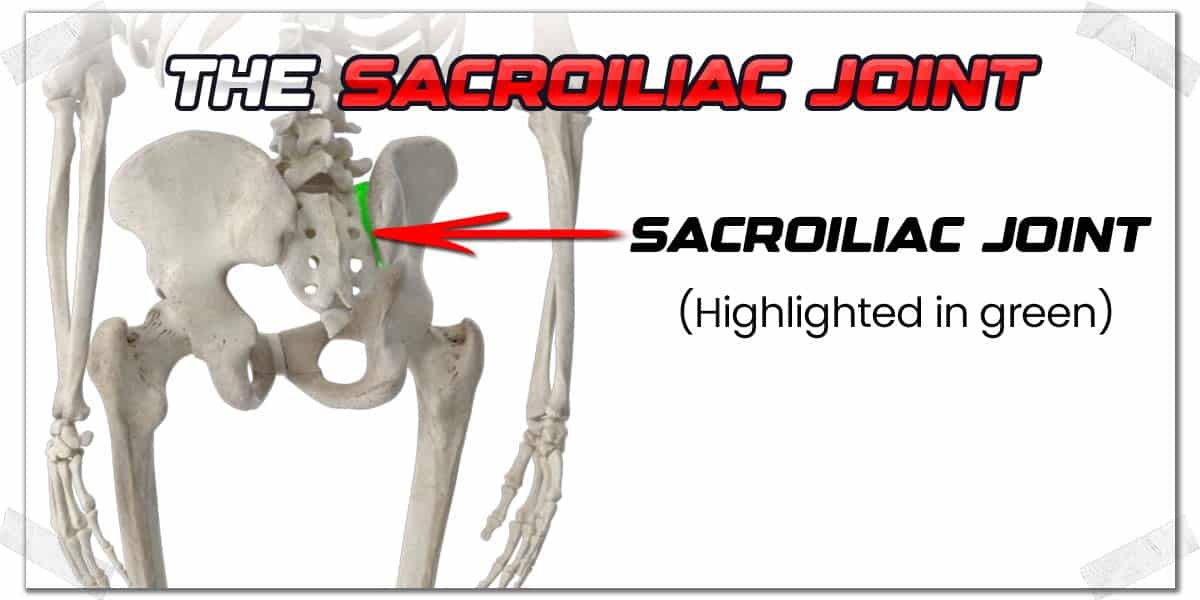 Lifter's Guide: Low Back Pain From Squatting | What To Know & Do ...